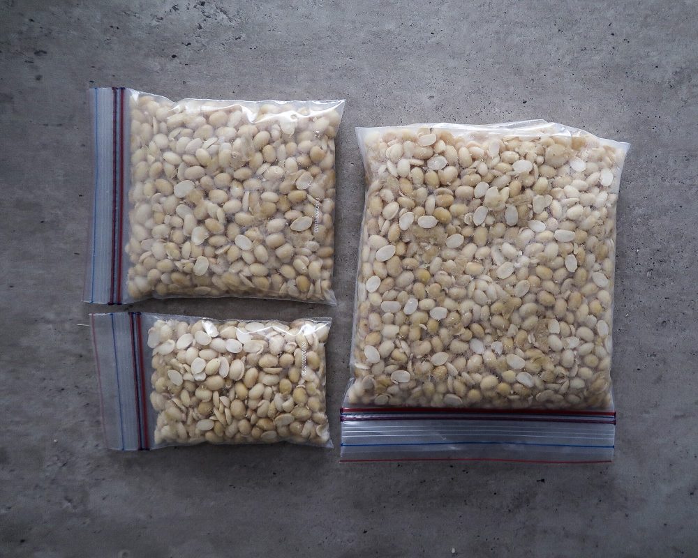 How To Make Tempeh at Home - A Complete Guide - Sarahs Vegan Guide